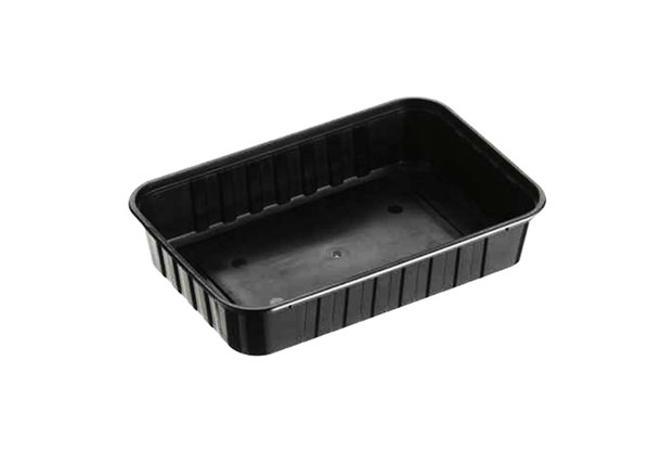Genfac Plastic Containers | Disposable King